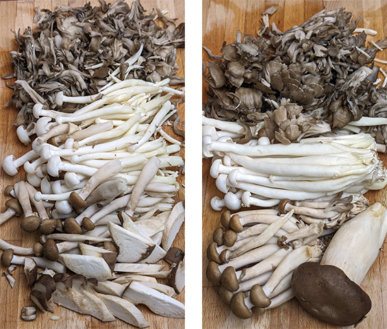 אורז עם פטריות יפני – kinoko no takikomi Gohan – מכופפת מקלות