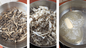 אורז עם פטריות יפני – kinoko no takikomi Gohan – מכופפת מקלות